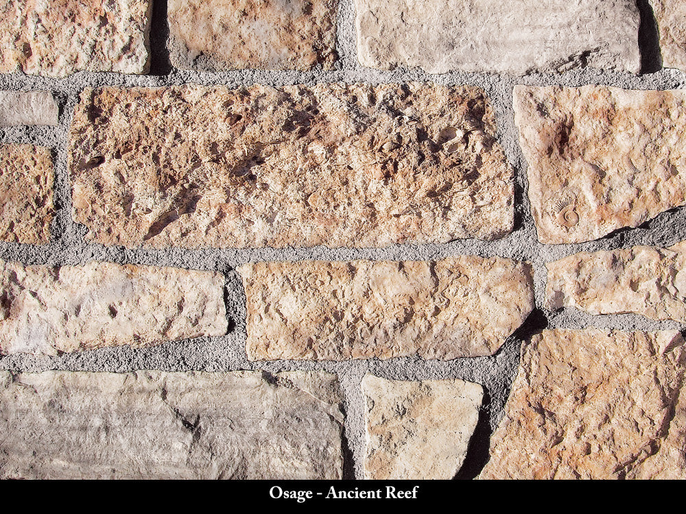 Ancient Reef Osage Stone Veneer